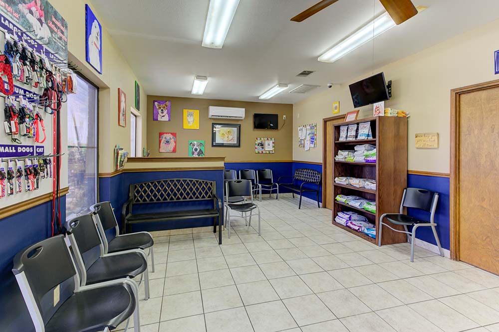 Virtual Tour | Fischer Veterinary Clinic