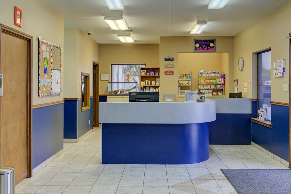 Virtual Tour | Fischer Veterinary Clinic